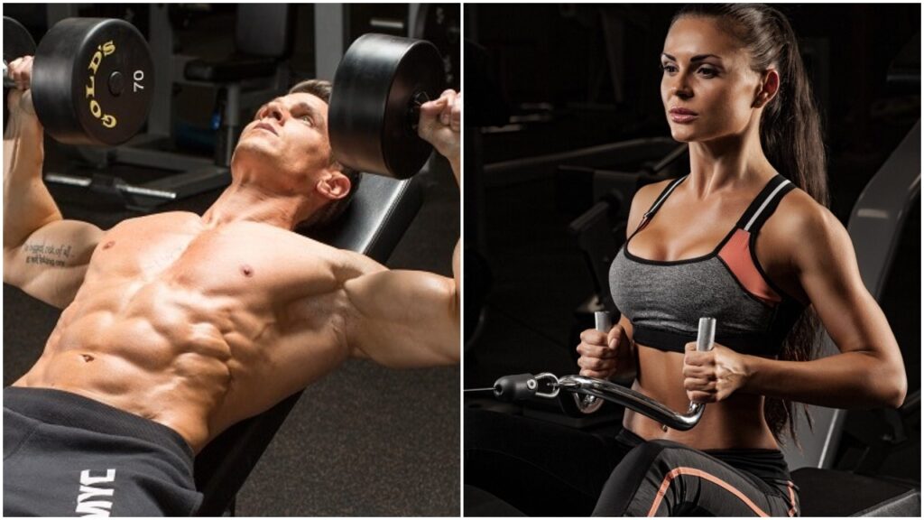 The Push-Pull Workout System: Ultimate Guide - The Barbell
