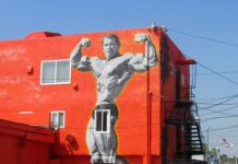 Tonya Knight (1966-2023), The Life of a Bodybuilding Icon - The Barbell