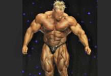 Superset: Ultimate Training Guide - The Barbell