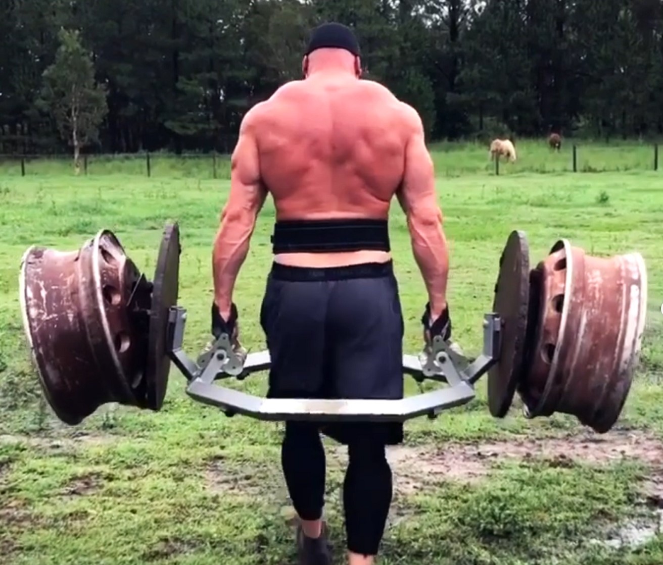 Tom Haviland: Everything You Need To Know - The Barbell